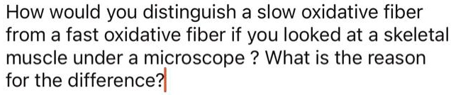 SOLVED: How would you distinguish a slow oxidative fiber from a fast ...