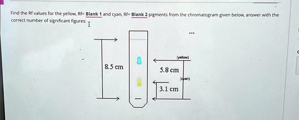SOLVED: Find the Rf values for the yellow, Rf= Blank 1() and cyan, Rf= Blank 2() pigments from ...