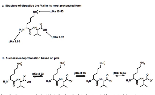 SOLVED: Consider the image below, what would be the pH of the most ...