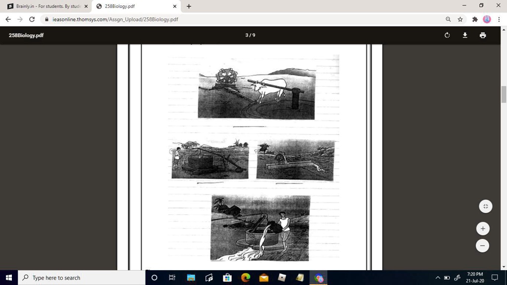 SOLVED: 'Identify following figures (as traditional of method of ...