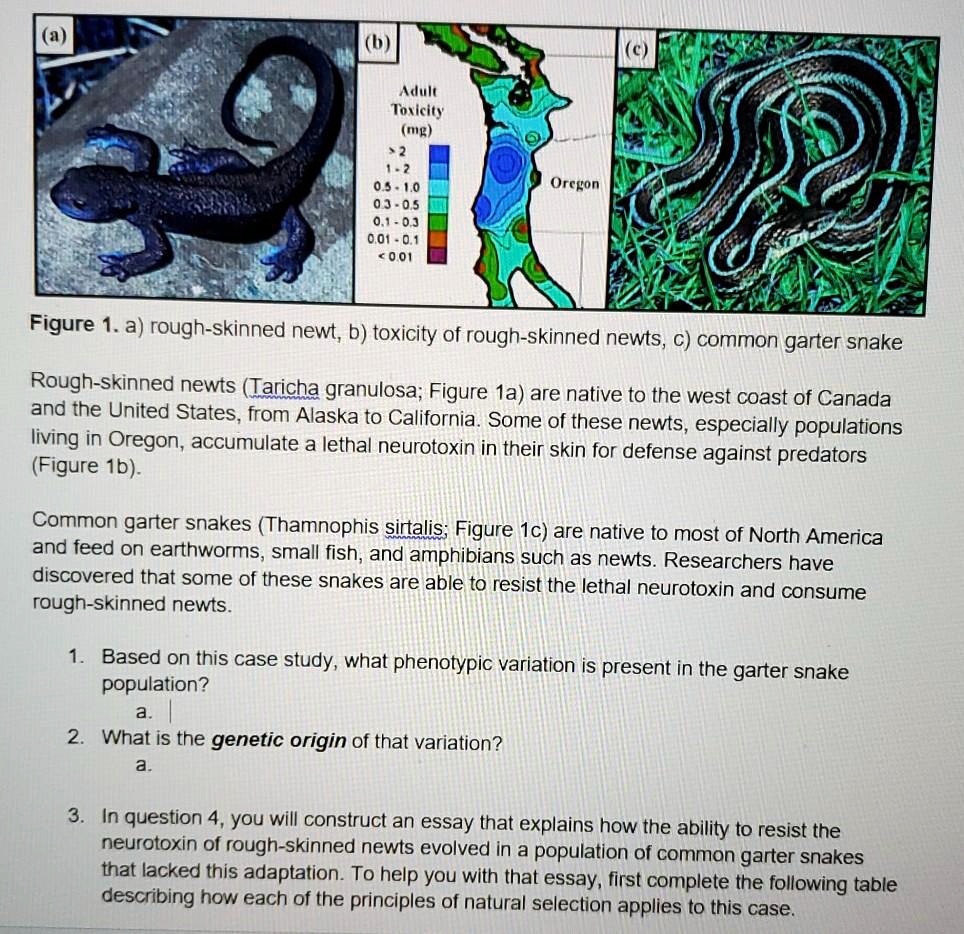 Figure 1. a) rough-skinned newt, b) toxicity of rough-skinned newts, c ...