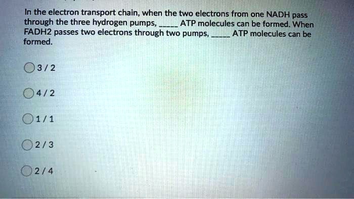 SOLVED: In the electron transport chain, when the two electrons from ...