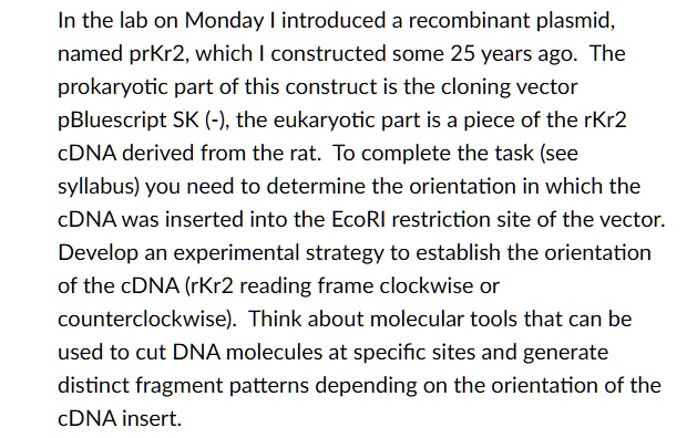 In the lab on Monday I introduced a recombinant plasmid, named prKr2 ...