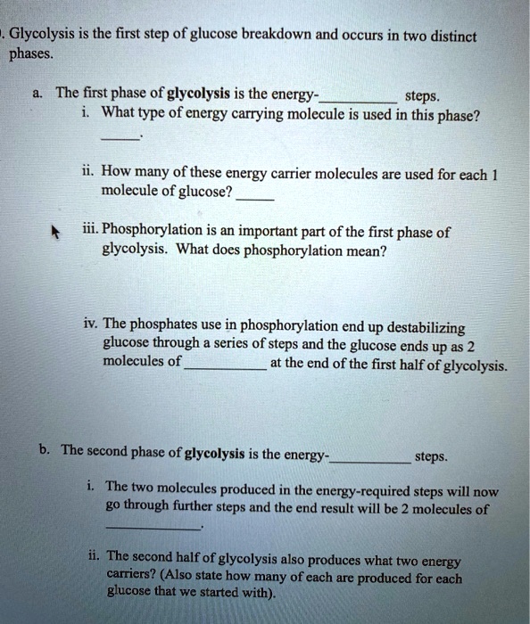 SOLVED: Glycolysis is the first : step of glucose breakdown and occurs ...