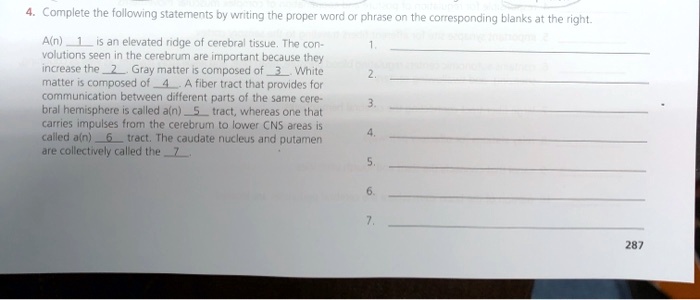 An1 is an elevated ridge of cerebral tissue. The convolutions seen in ...