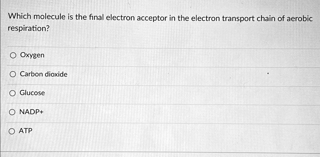 SOLVED: Which molecule is the final electron acceptor in the electron transport chain of aerobic ...