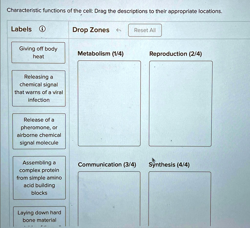 Characteristic functions of the cell: Drag the descriptions...