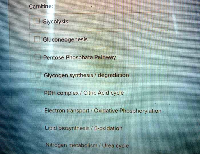 Carnitine Glycolysis Gluconeogenesis Pentose Phosphate Pathway Glycogen ...