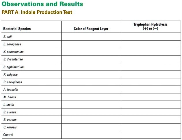 Indole Production Test In Microbiology