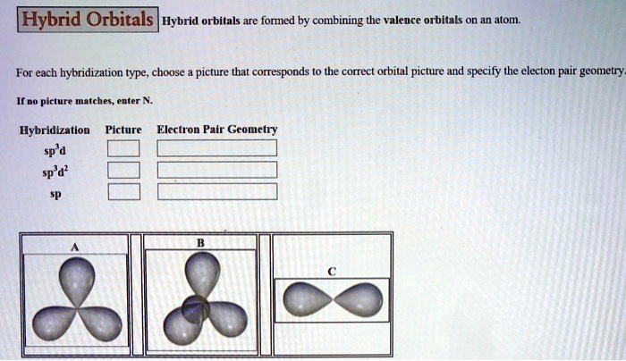 SOLVED: Hybrid Orbitals Hybrid orbitals are formed by combining the ...