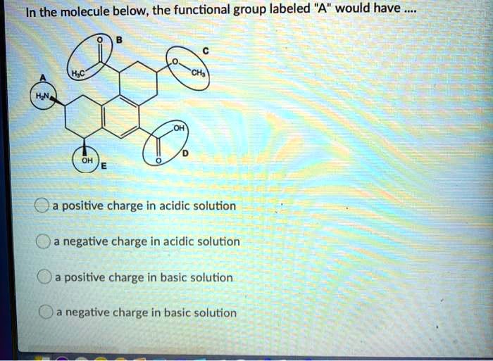 SOLVED: In the molecule below; the functional group labeled "A" would ...