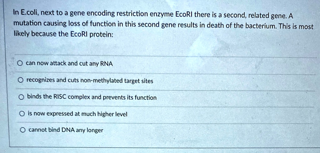 SOLVED: '4) In Ecoli; next to 3 gene encoding restriction enzyme EcoRI ...