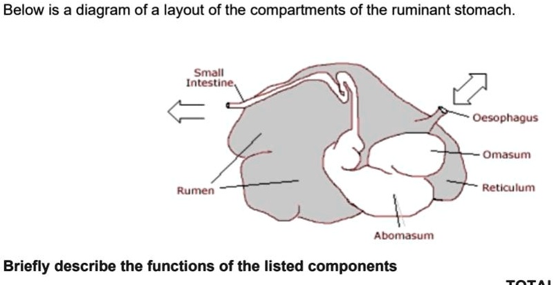 SOLVED: Below is a diagram of a layout of the compartments of the ...