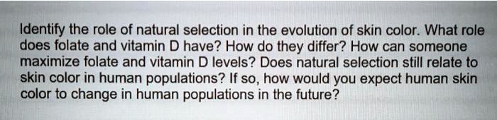 identify the role of natural selection in the evolution of skin color ...
