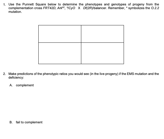 use the punnett square below detemine the phenonvdes and genotypes ...