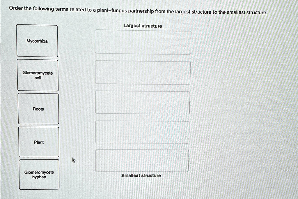 Order the following terms related to a plant-fungus partnership from the largest structure to ...