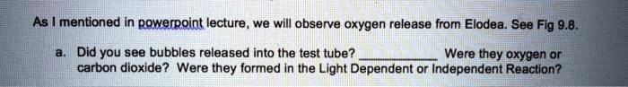 SOLVED: As mentioned in powerpoint lecture we will observe oxygen ...