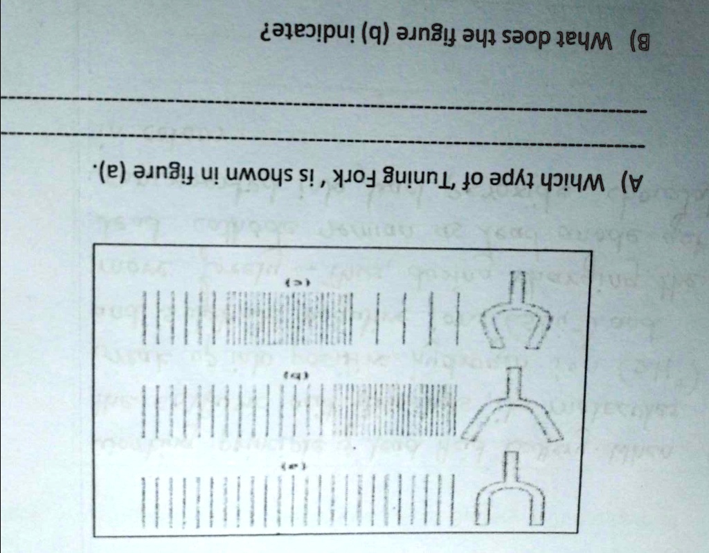 SOLVED: "A) Which type of 'Tuning Fork is shown in figure (a).B) What does the figure (b) indicate?"