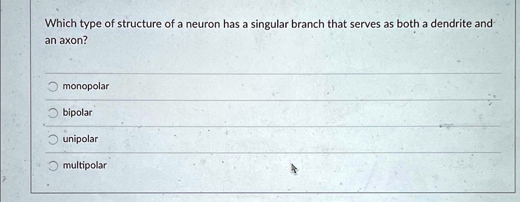 SOLVED: Which type of structure of a neuron has a singular branch that ...