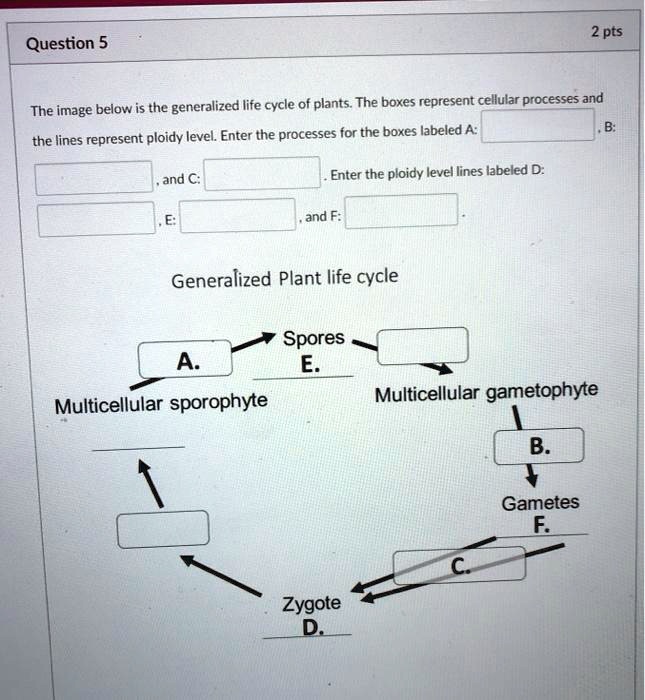 [GET ANSWER] Question 5 2 pts The image below is the generalized life ...