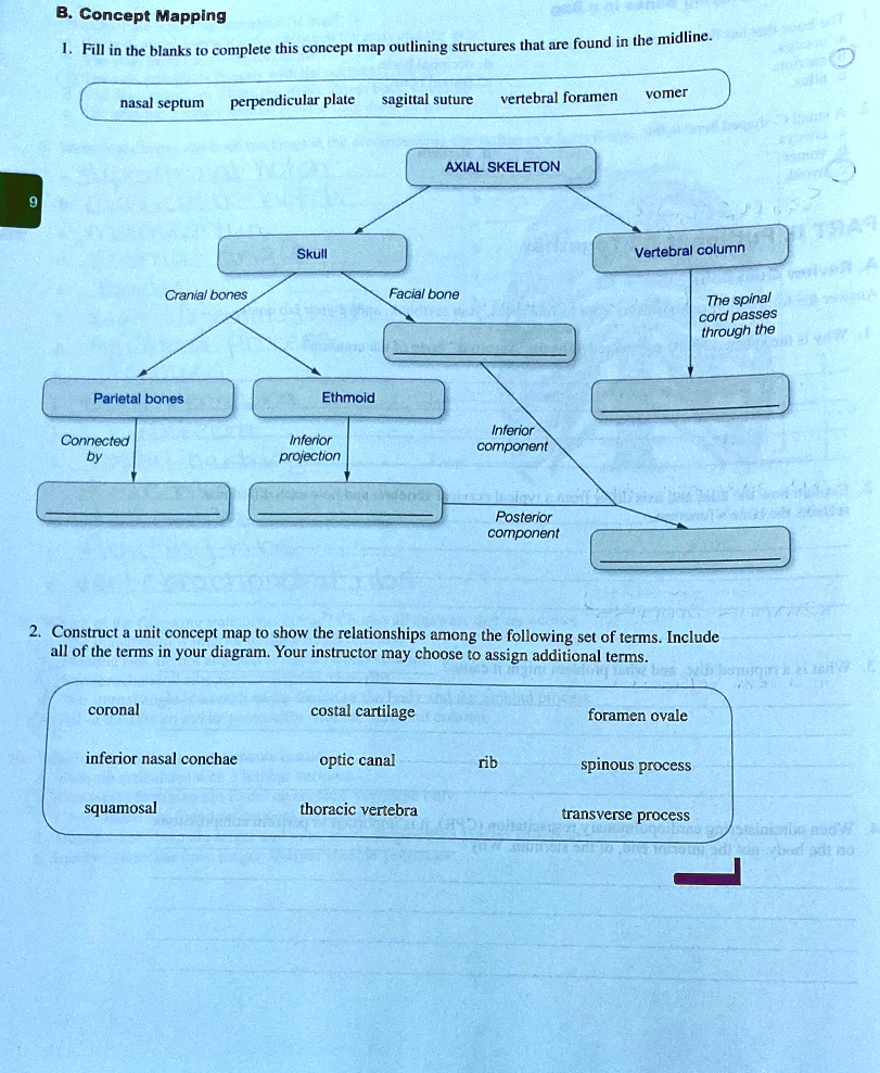 Concept Mapping Fill in the blanks. Complete this concept map outlining structures that are ...