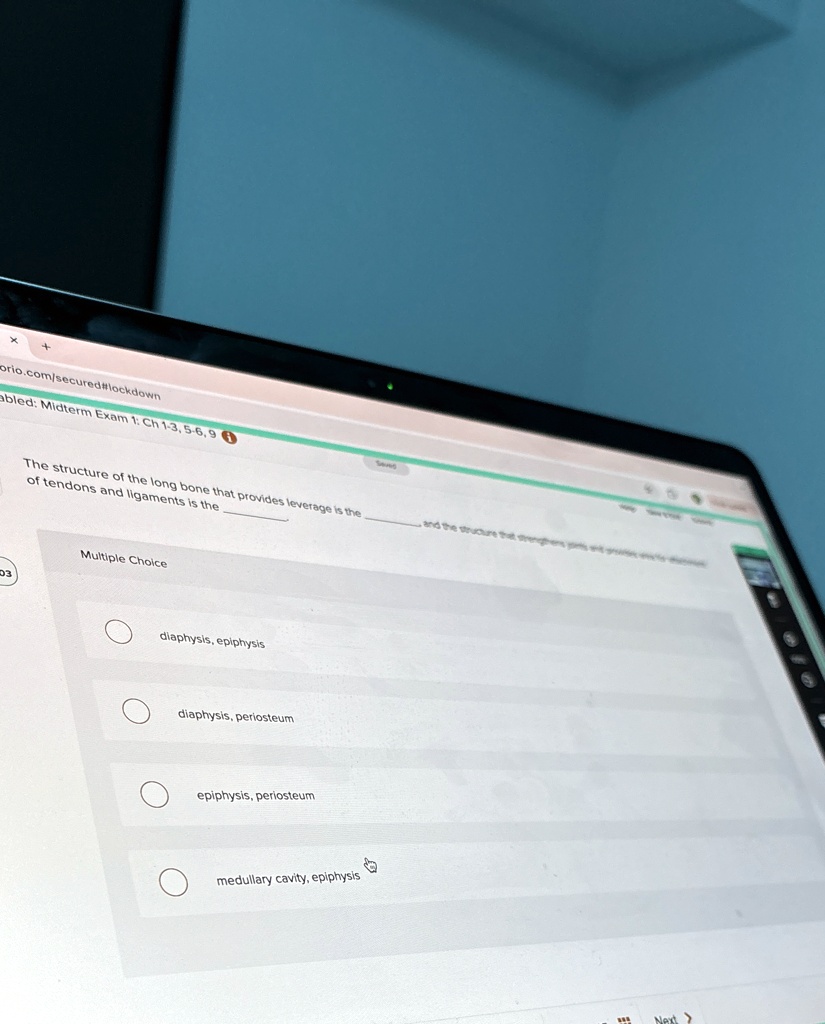 the structure of the long bone that provides leverage is the of tendons ...