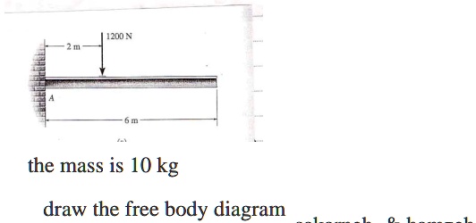 the mass is 10 kg draw the free body diagram