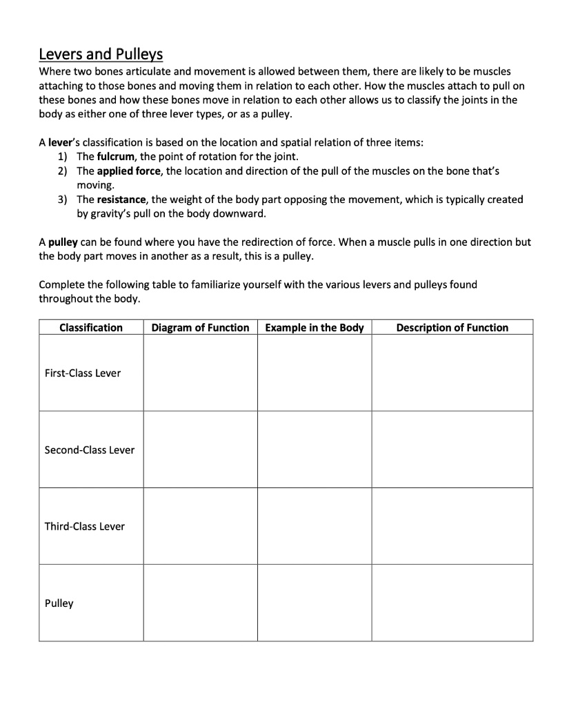 SOLVED: Levers and Pulleys Where two bones articulate and movement is ...