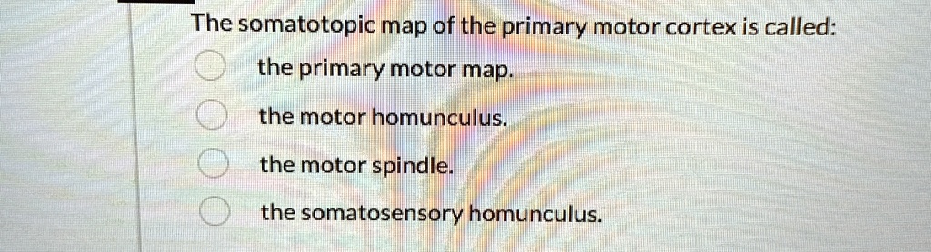 the somatotopic map of the primary motor cortex is called the primary ...