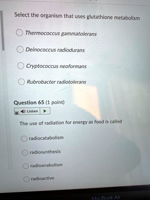 select the organism that uses glutathione metabolism thermococcus ...