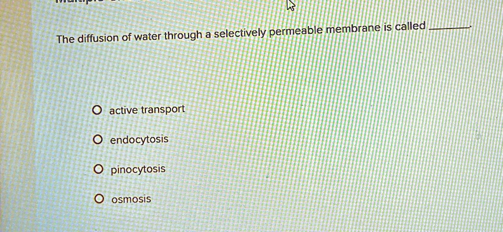 SOLVED: The diffusion of water through a selectively permeable membrane ...