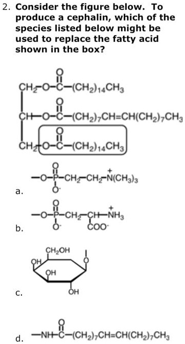 SOLVED:Consider the figure below. To produce cephalin, which of the ...