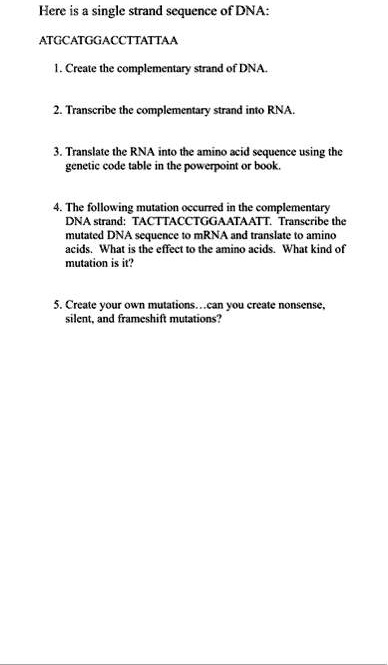 here is single strand sequence of dna atgcatggaccttattaa creale the ...