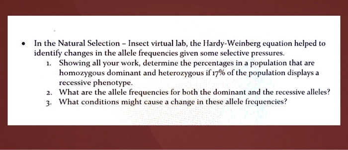 in the natural selection insect virtual lab the hardy weinberg equation ...