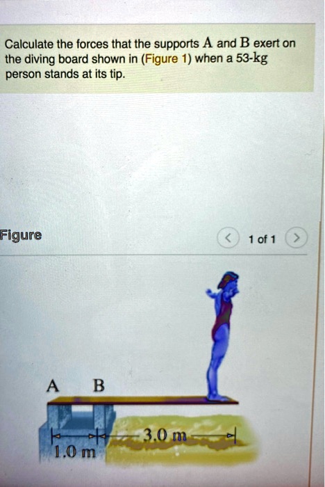 [GET ANSWER] Calculate the forces that the supports A and B exert on ...