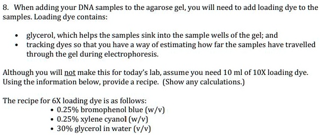 Dna Agarose Gel Loading Buffer Recipe | Bryont Blog