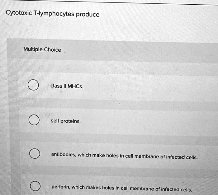 Can Antibodies Poke Holes In Cells at Toby Wise blog