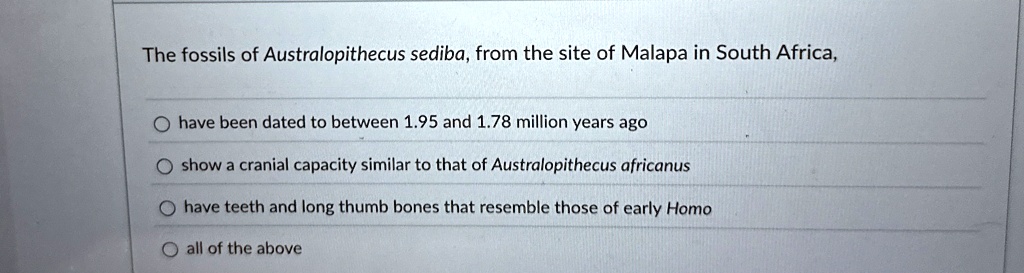 The fossils of Australopithecus sediba, from the site of Malapa in ...