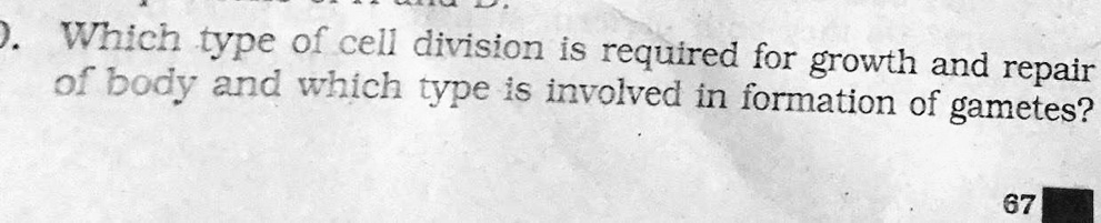 SOLVED: 'Which type of cell division is required for growth and repair ...