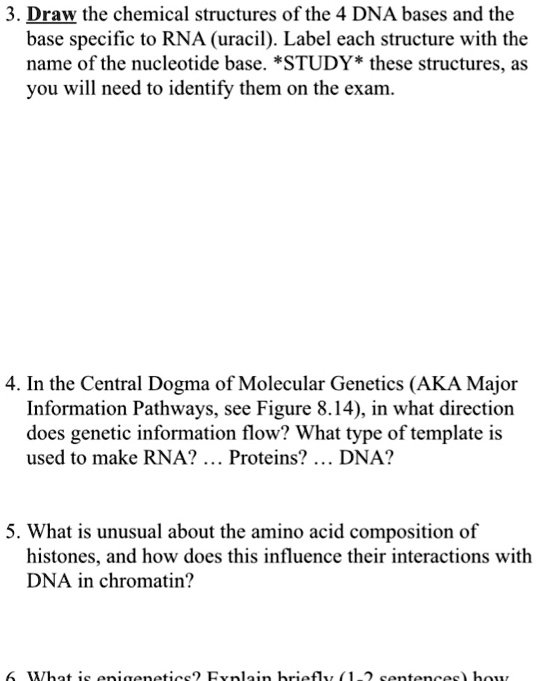 3. Draw the chemical structures of the 4 DNA bases and the base ...