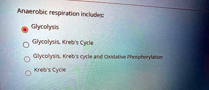SOLVED: Anaerobic respiration includes Glycolysis, Krebs Cycle, and ...