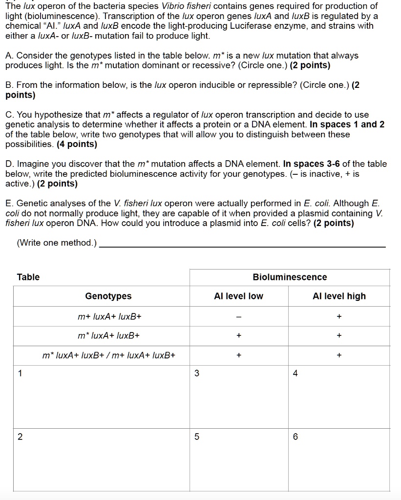 SOLVED: The lux operon of the bacteria species Vibrio fisheri contains ...