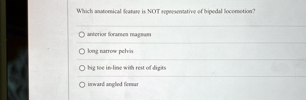 Which anatomical feature is NOT representative of bipedal locomotion ...