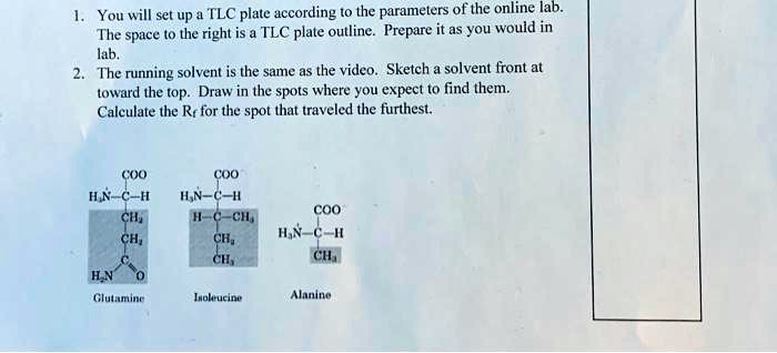 SOLVED: You will set up a TLC plate according 10 the parameters of the ...