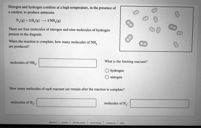 SOLVED: The Reaction Between A Combination Of Ammonia SOLVED: The Reaction Between A Combination Of Ammonia