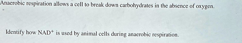 Anaerobic respiration allows a cell to break down...
