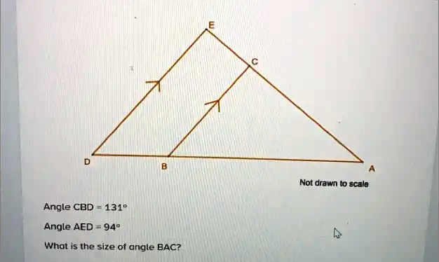 SOLVED: Not drawn t0 scal Angle CBD 1310 Angle AED 949 What is the size ...