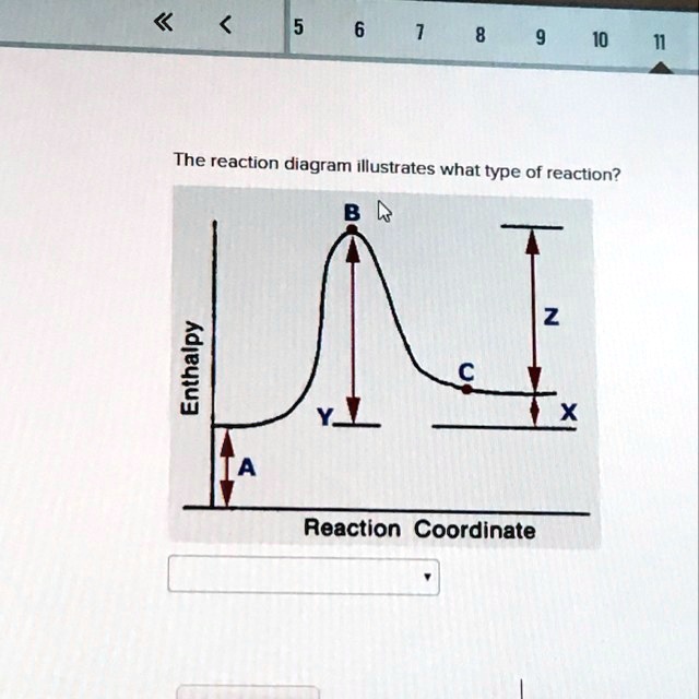 SOLVED: The reaction diagram illustrates what type of reaction? A ...