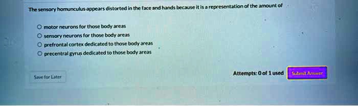 the sensory homunculus appears distorted in the face and hands because ...