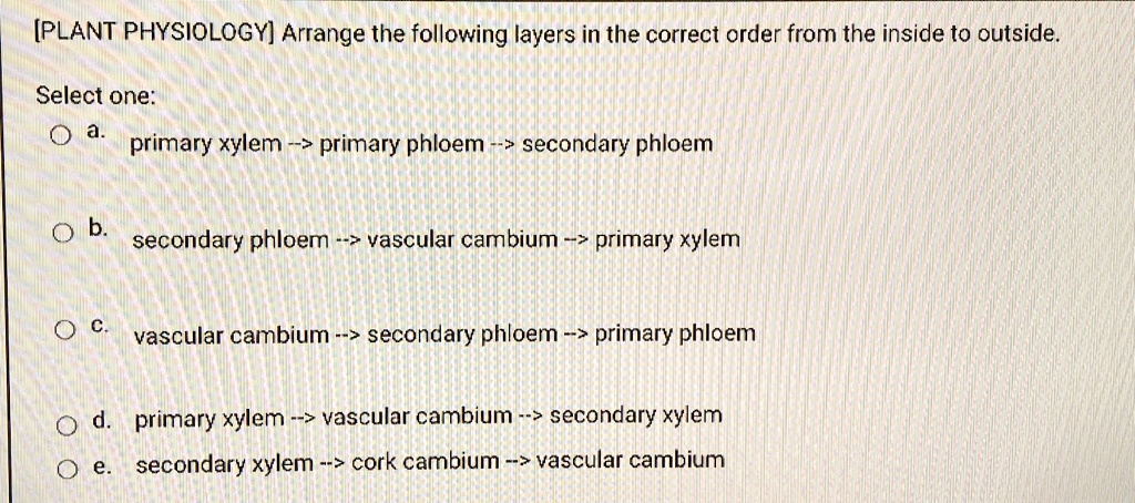 SOLVED: '[PLANT PHYSIOLOGY] Arrange the following layers in the correct order from the inside to ...